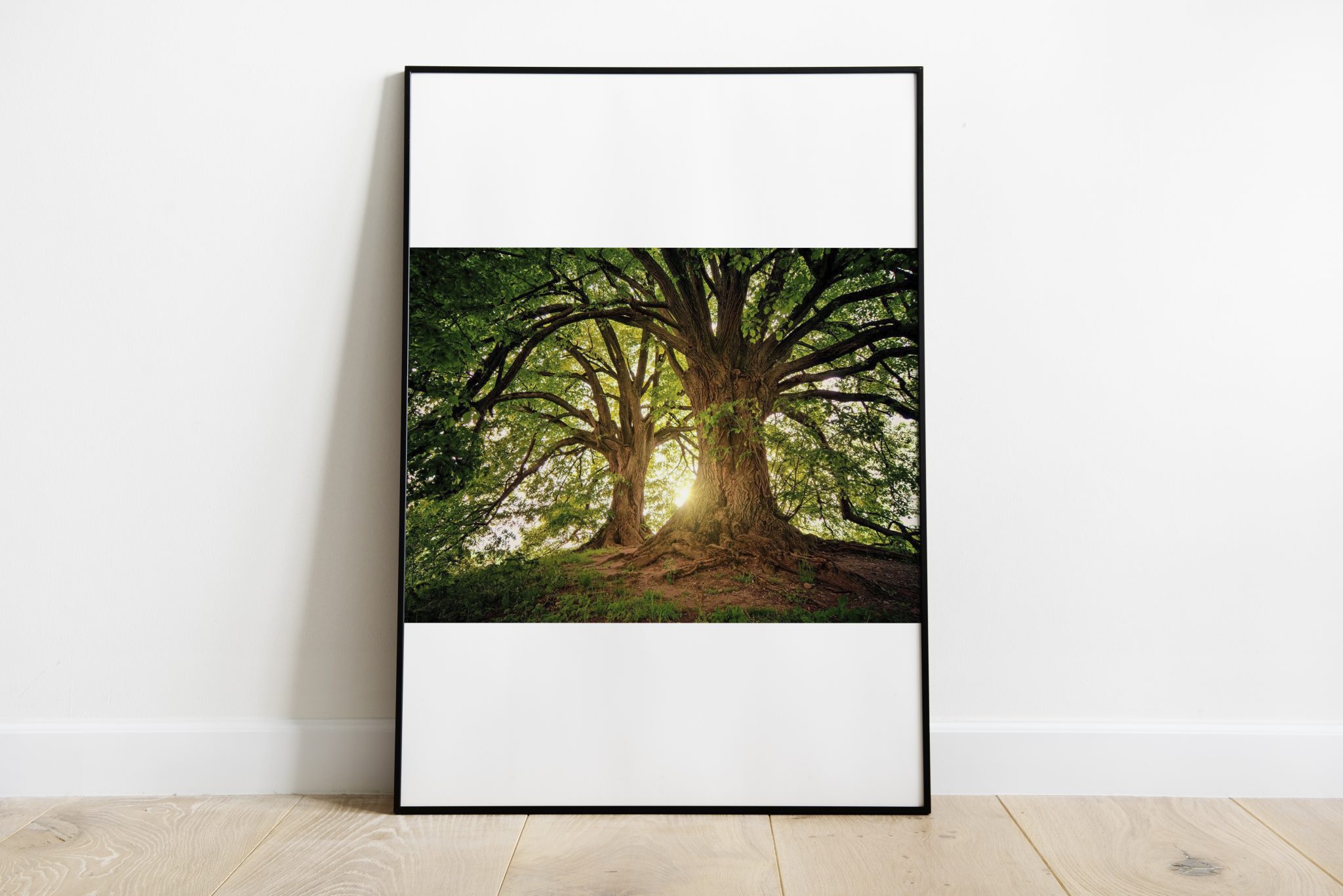 Big Tree Poster | Swag Shirts