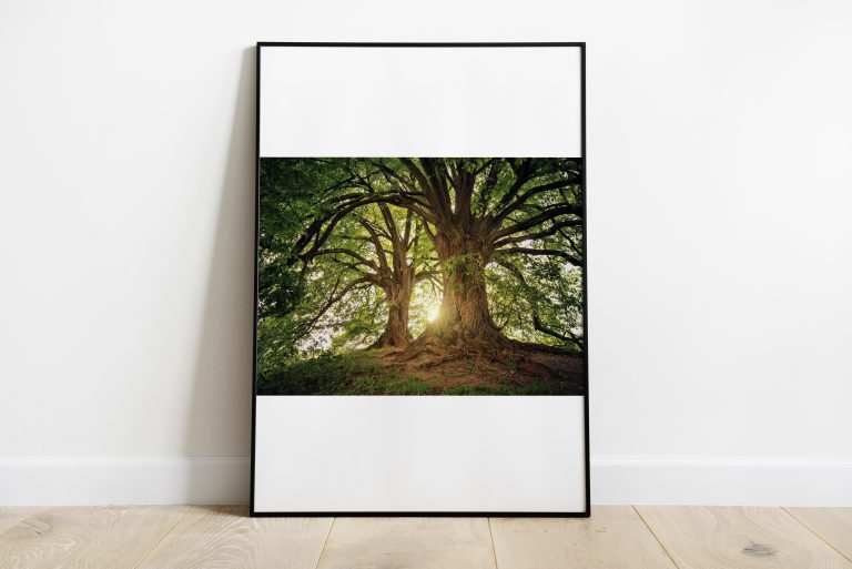 Big Tree Poster | Swag Shirts