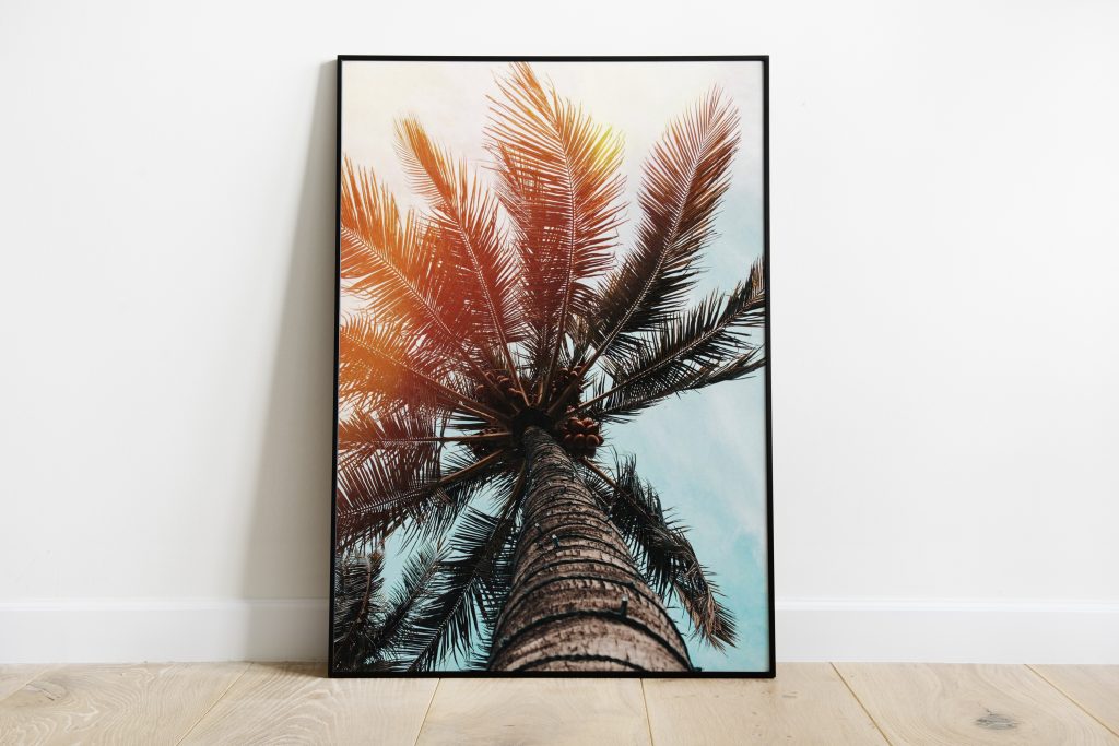 Summer Palm Tree Poster | Swag Shirts