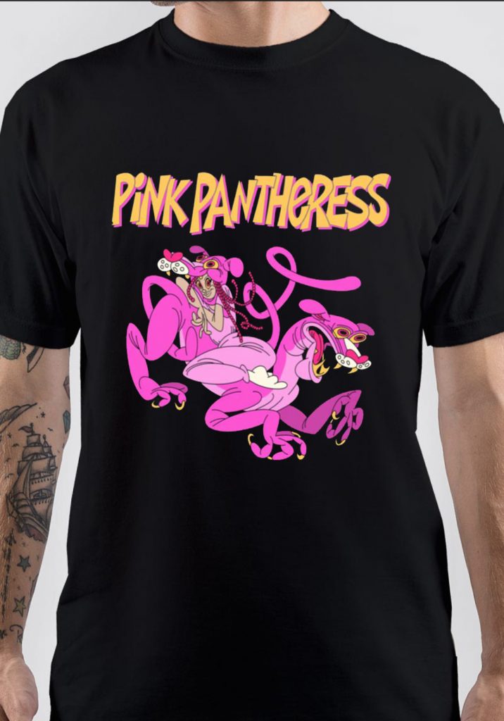 PinkPantheress T-Shirt | Swag Shirts