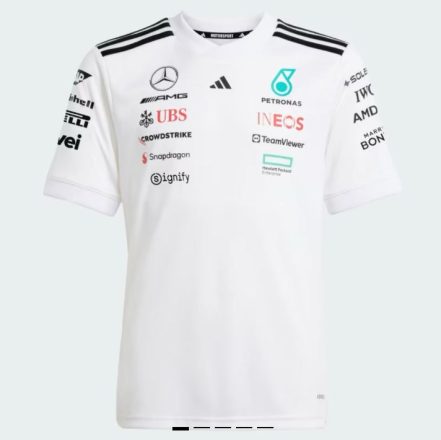 Mercedes AMG F1 2025 T-Shirt | Swag Shirts